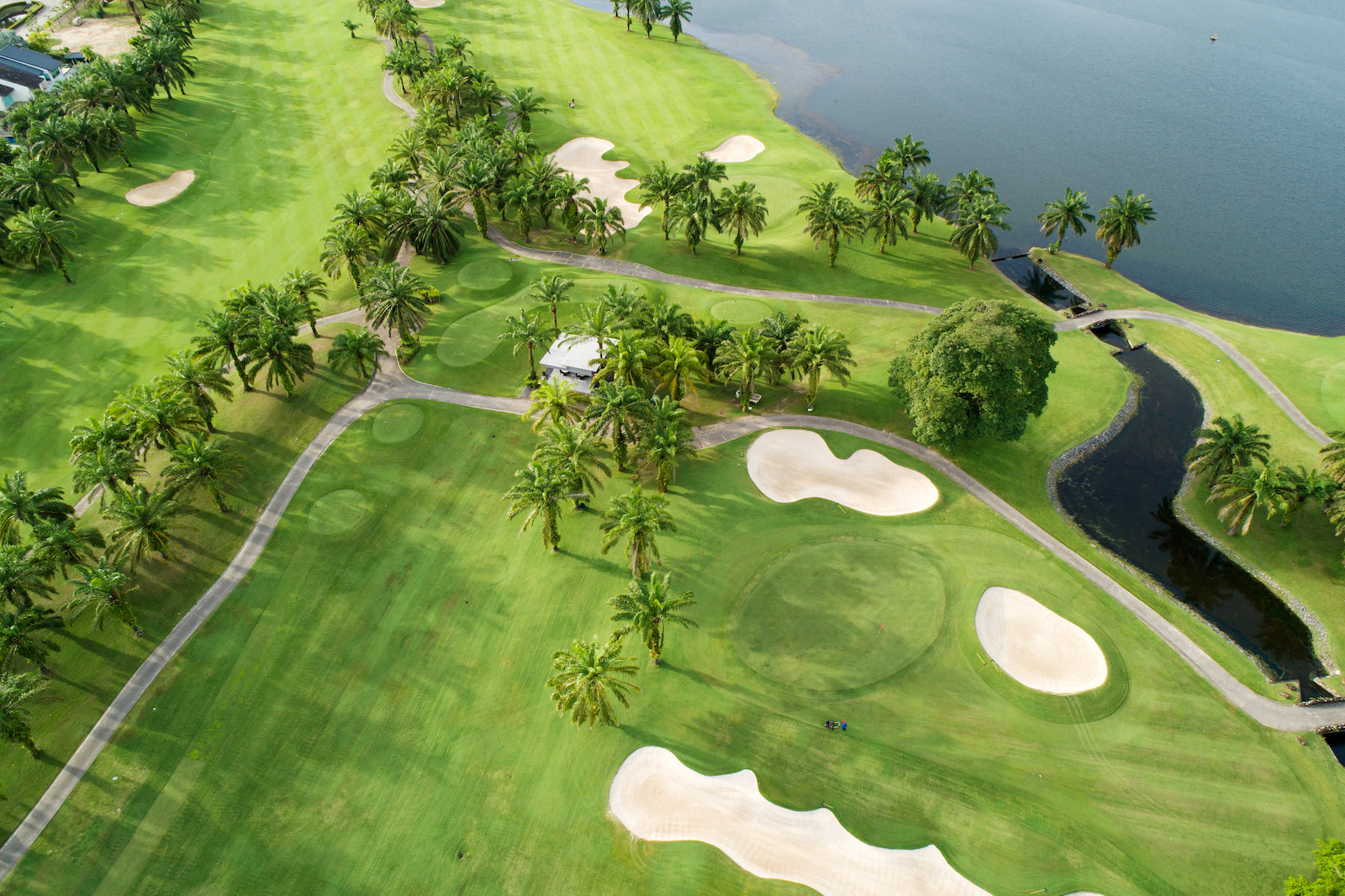 Top 5 Golf Training Courses and Facilities in Myrtle Beach - Skillest Blog