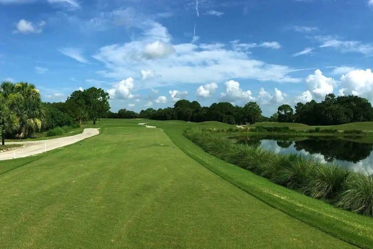 Explore the Best Golf Courses in Houston | Skillest
