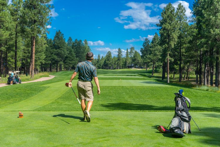 Explore the Best Golf Courses in Houston | Skillest