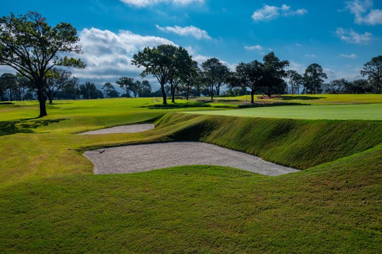 Discover the Best Golf Courses in Dallas | Skillest
