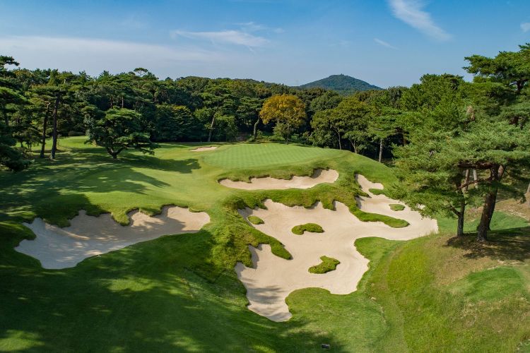 Discover the Best Golf Courses in Dallas | Skillest