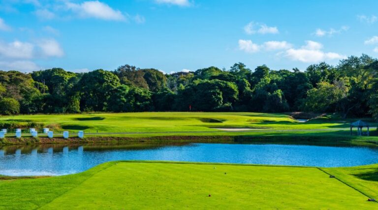 Discover the Best Golf Courses in New York | Skillest