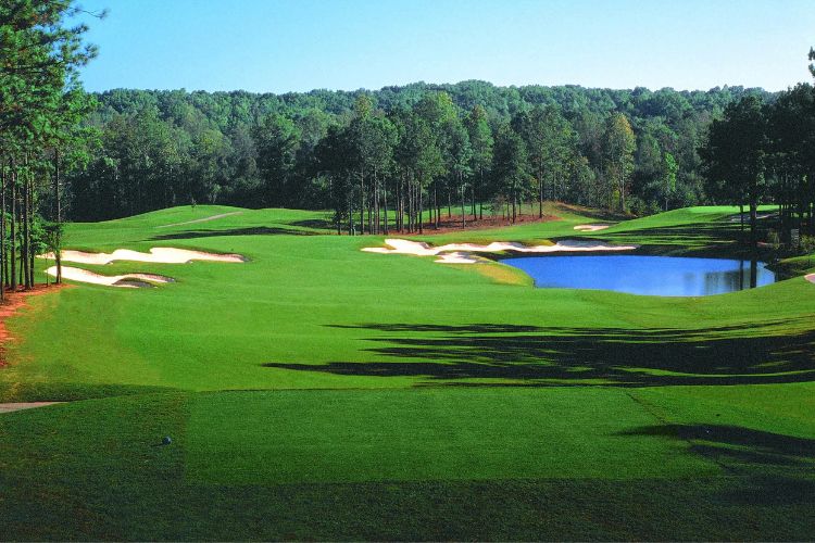 Best Golf Courses in Atlanta for Every Golfer | Skillest